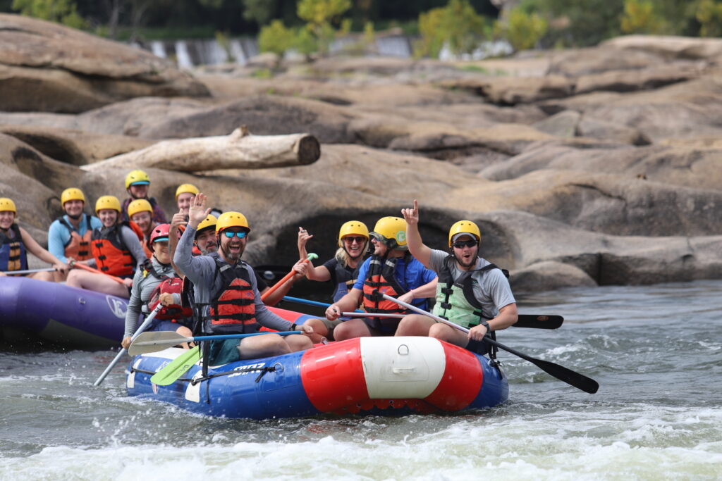 Careers at D3G | Join Our Innovative Team